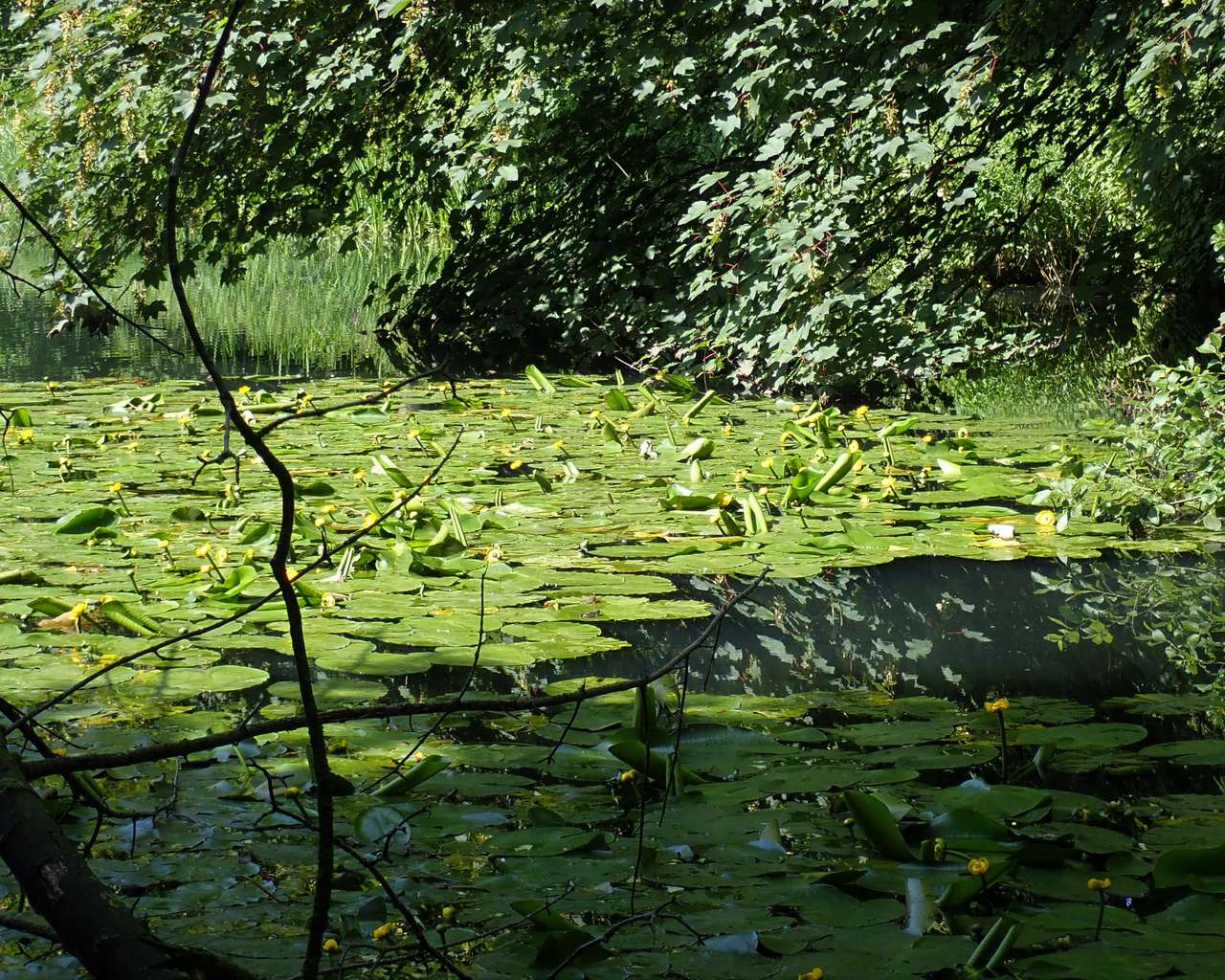 Points de vue - panoramas Vue ouest vers le plus petit des Étangs ...