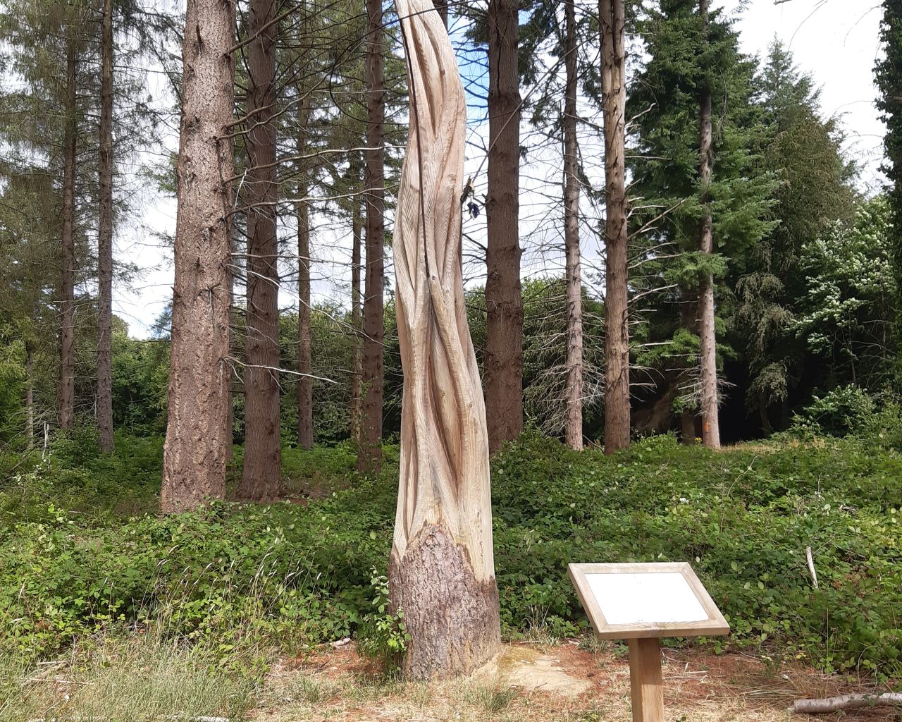 Arbres remarquables L'Arbre à Message à Crécy-en-Ponthieu - Points ...