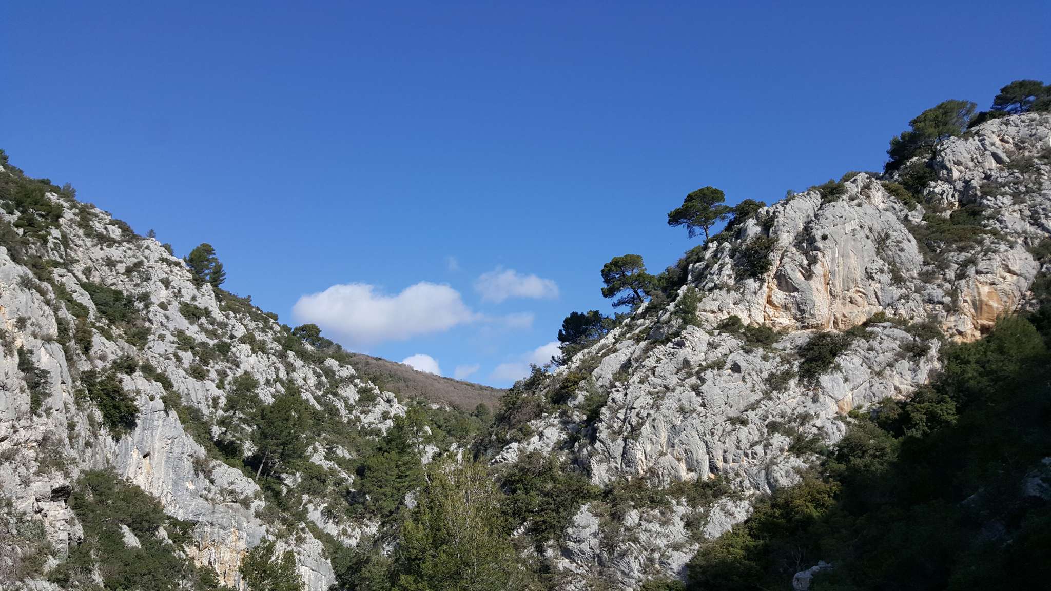 Randonnée Marche à Évenos: Ollioules - Gorges du Destel - SityTrail