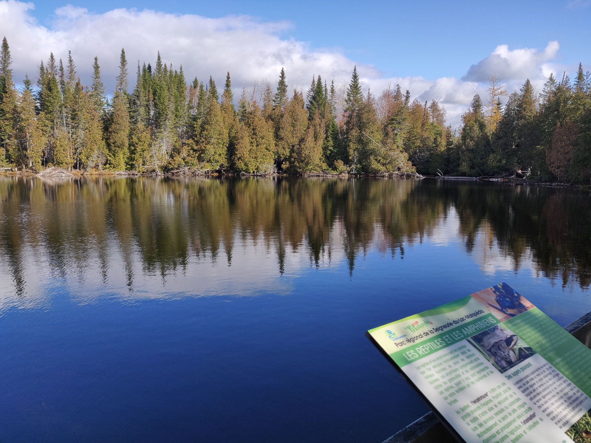Randonnée Marche à Lac-Matapédia: Balade du Lac caché - SityTrail