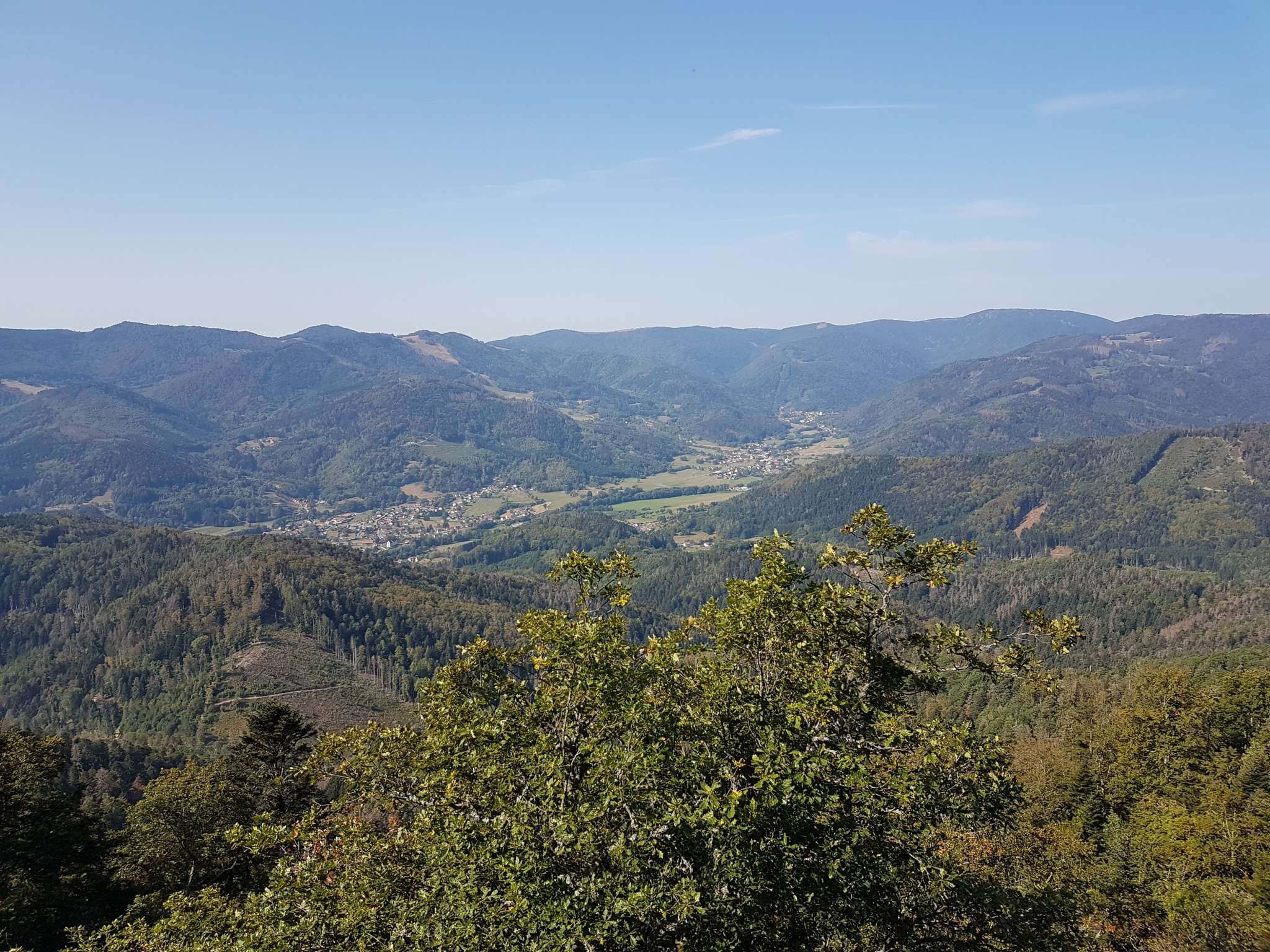 Randonnée Marche à Masevaux-Niederbruck: Masevaux - Rossberg par le ...