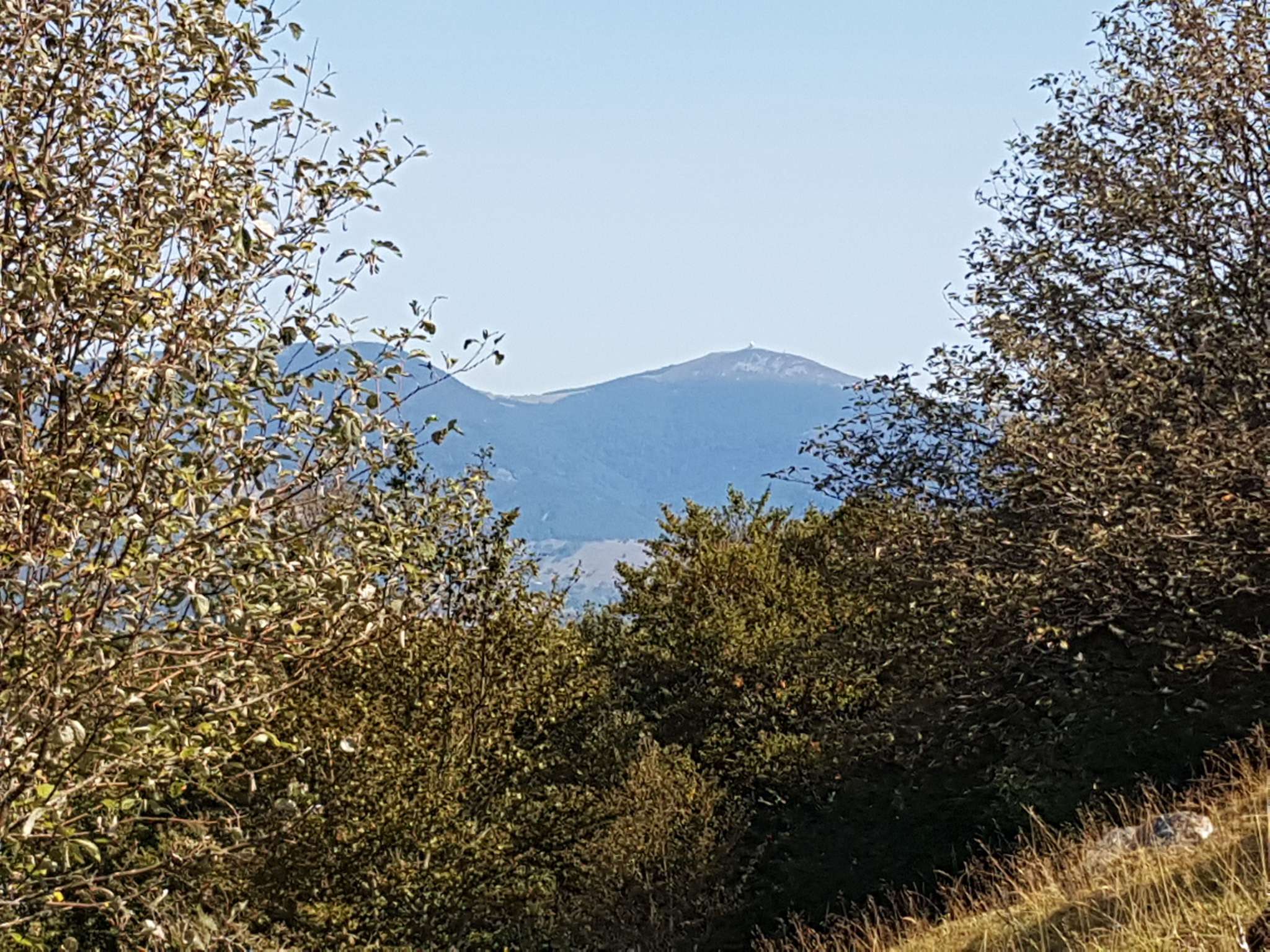 Randonnée Marche à Masevaux-Niederbruck: Masevaux - Rossberg par le ...