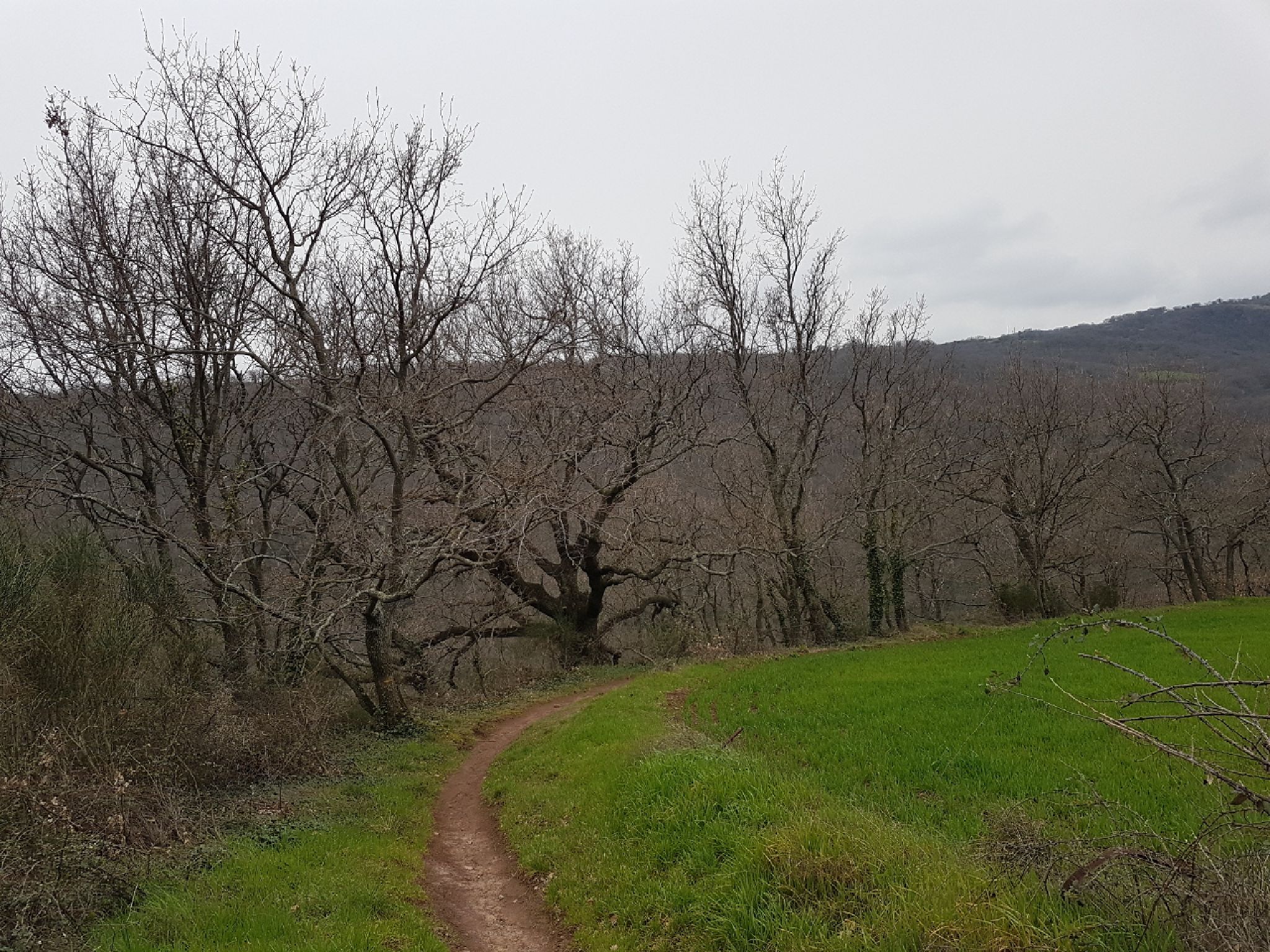 Randonnée Marche nordique à Octon: Octon Lauzières Roubignac Toucou ...