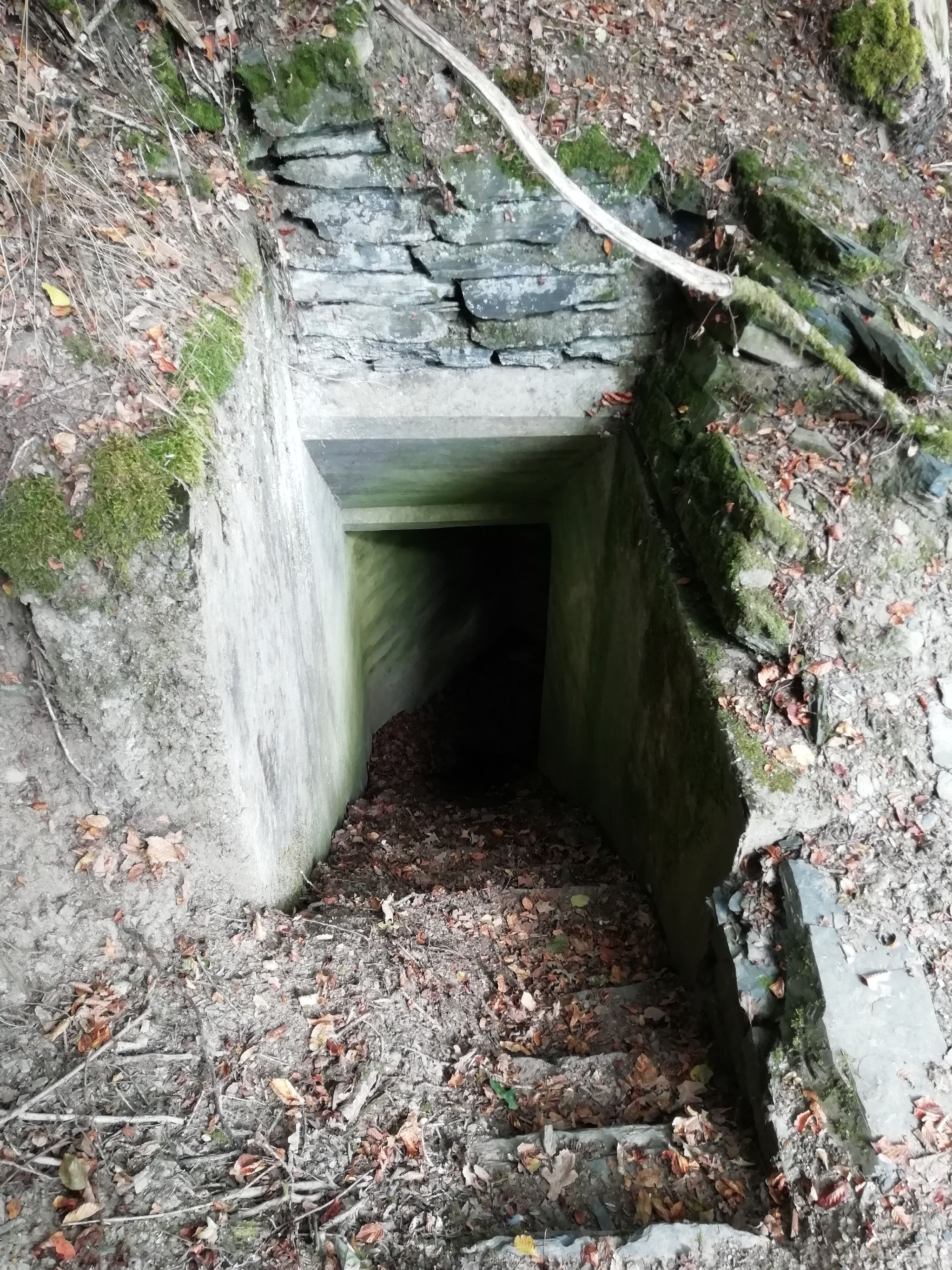 Lieux historiques Fortin Devèze Bodange à Martelange - Points ...