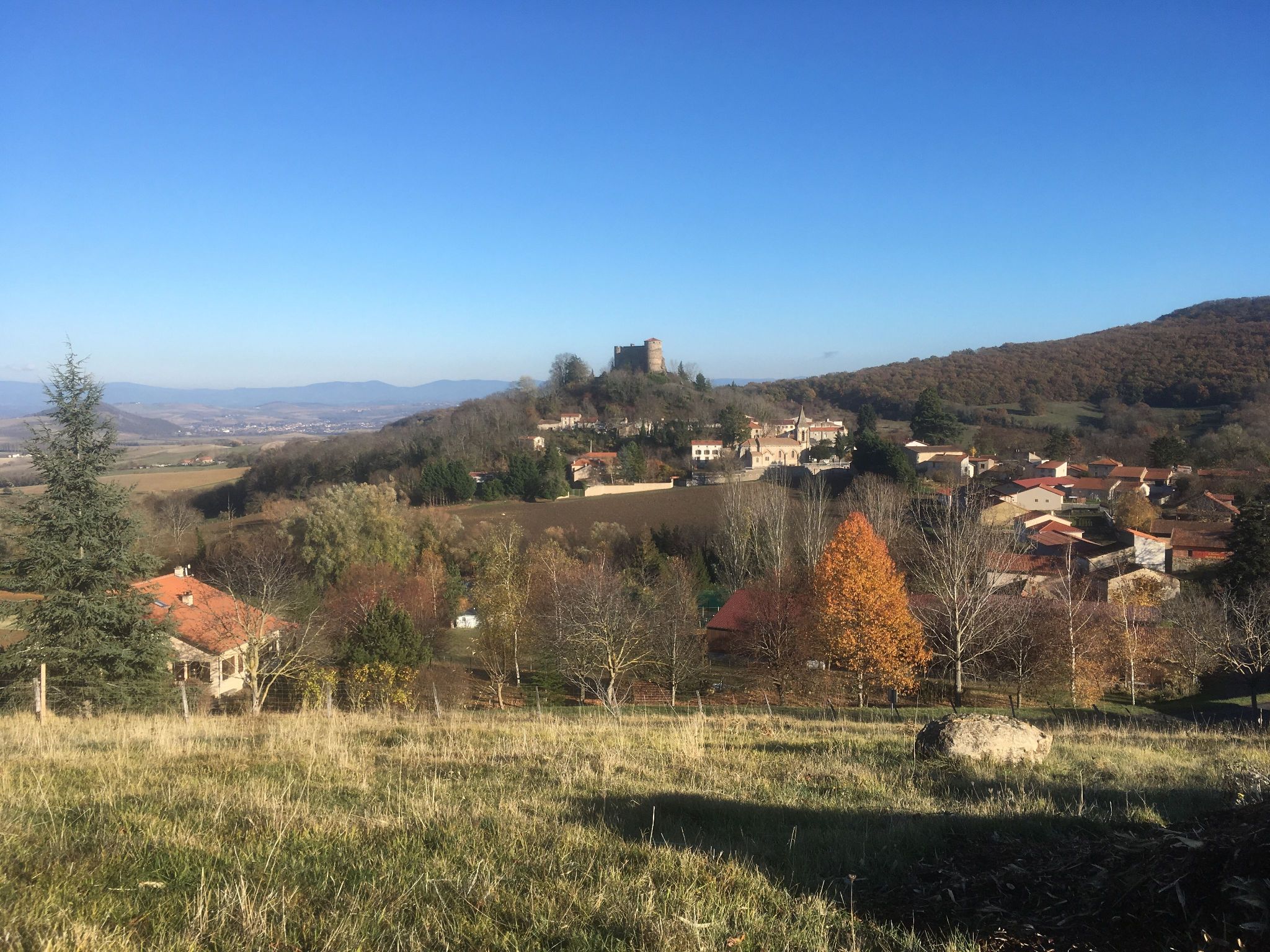 Randonnée Marche à Mirefleurs: Mirefleurs - SityTrail