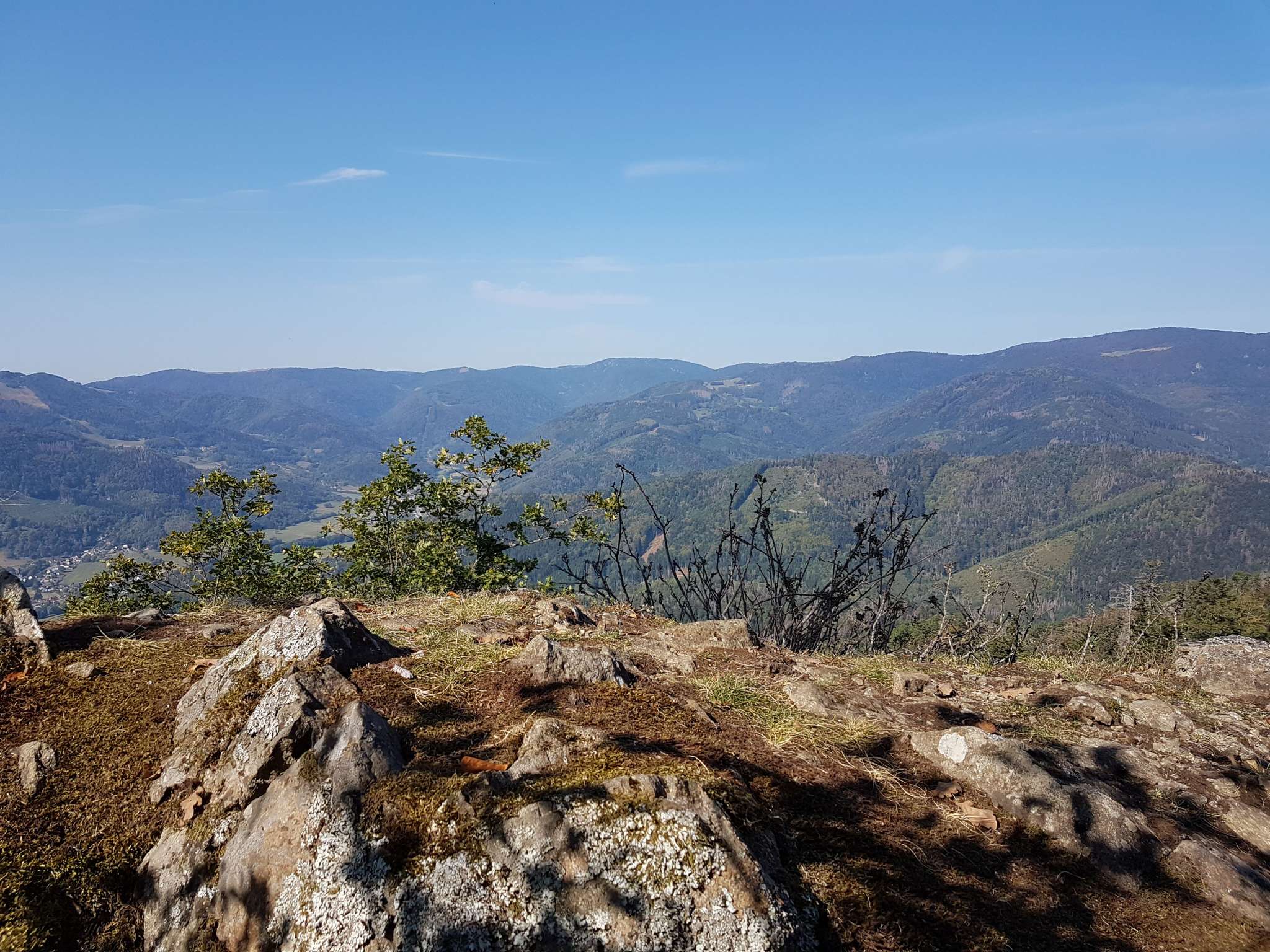 Randonnée Marche à Masevaux-Niederbruck: Masevaux - Rossberg par le ...