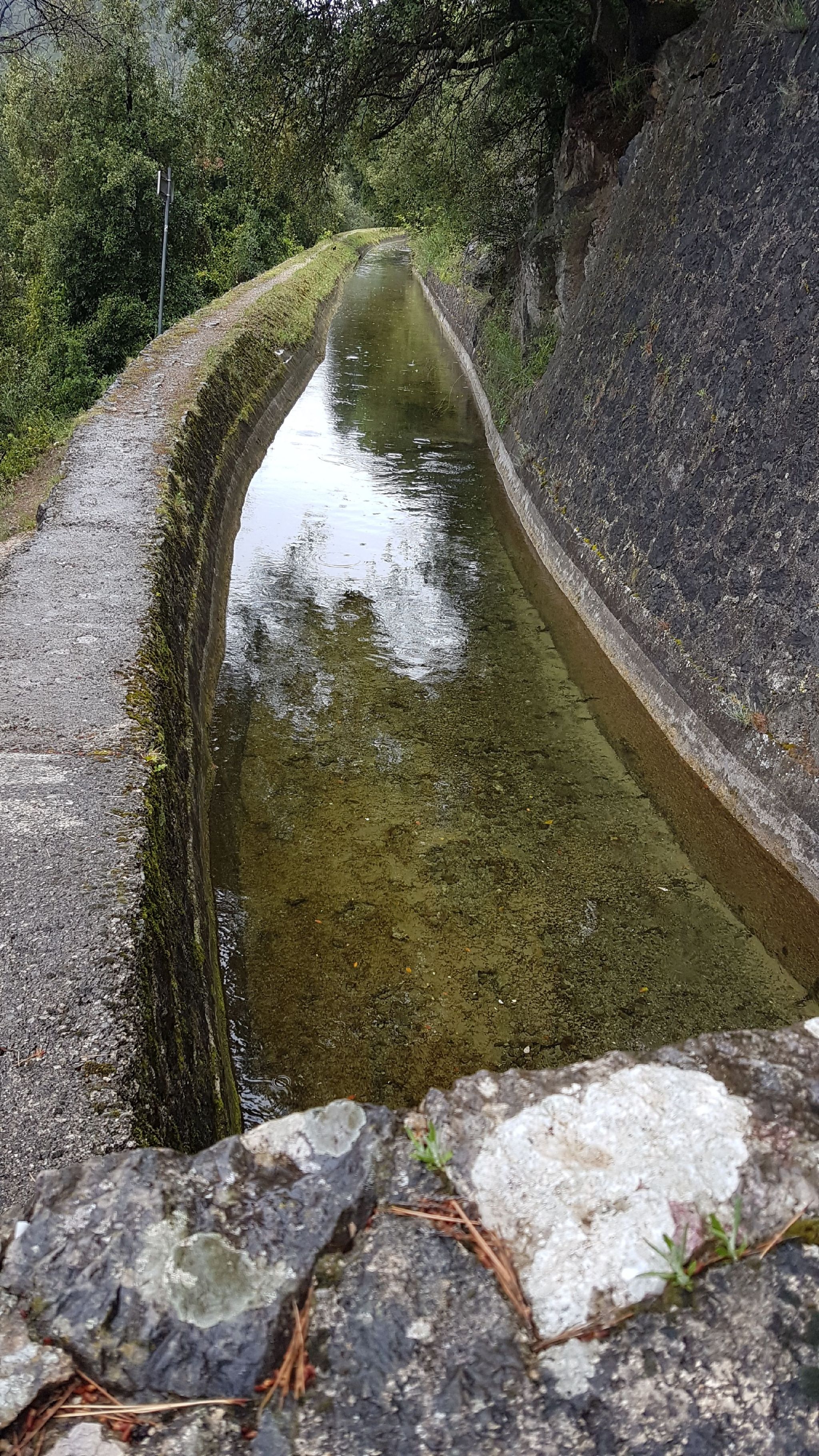 Randonnée Marche à Saint-Cézaire-sur-Siagne: Var - Gorges de la Siagne ...
