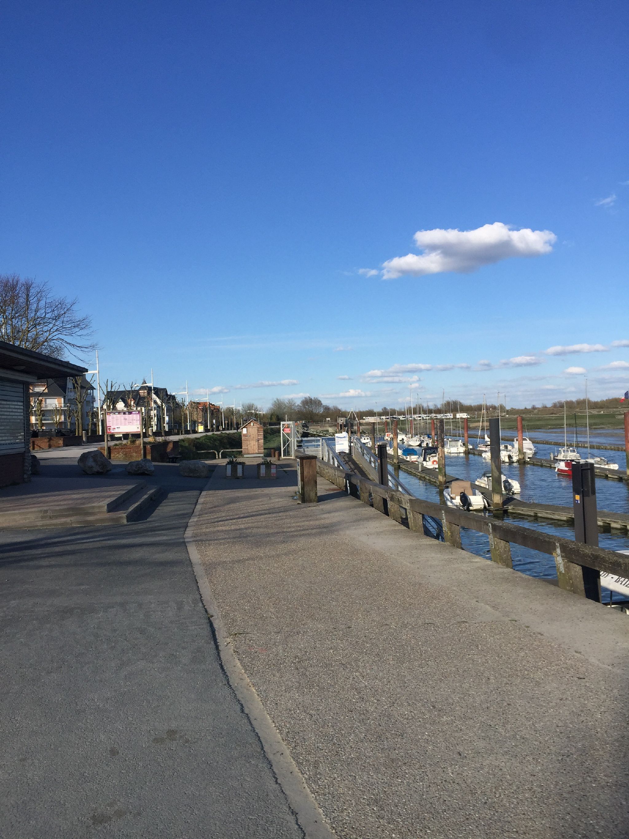 Randonnée Marche à LE CROTOY: Baie de somme - SityTrail