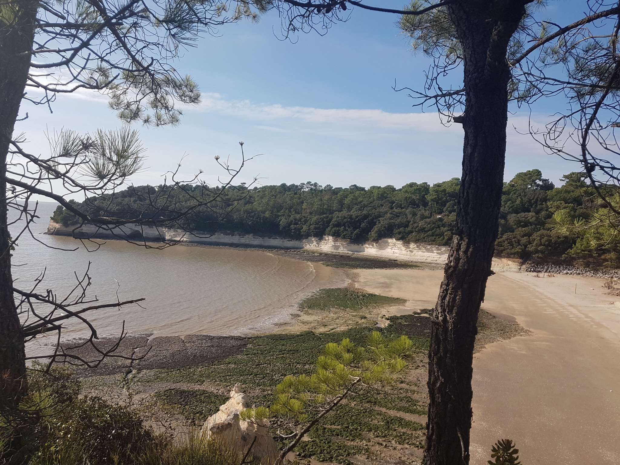 Randonnée Marche à Meschers-sur-Gironde: estuaire - SityTrail
