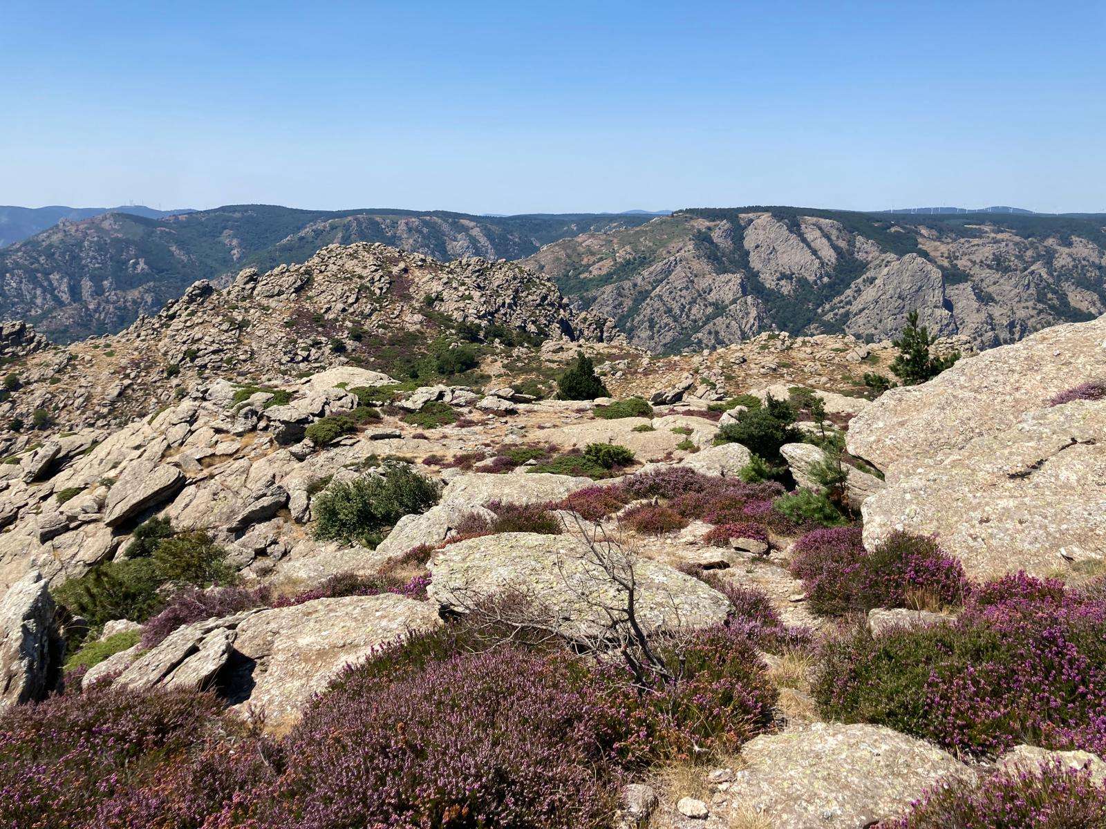 Randonnée Marche à Saint-Martin-de-l'Arçon: Le Saut de l'Âne, le Roc du ...