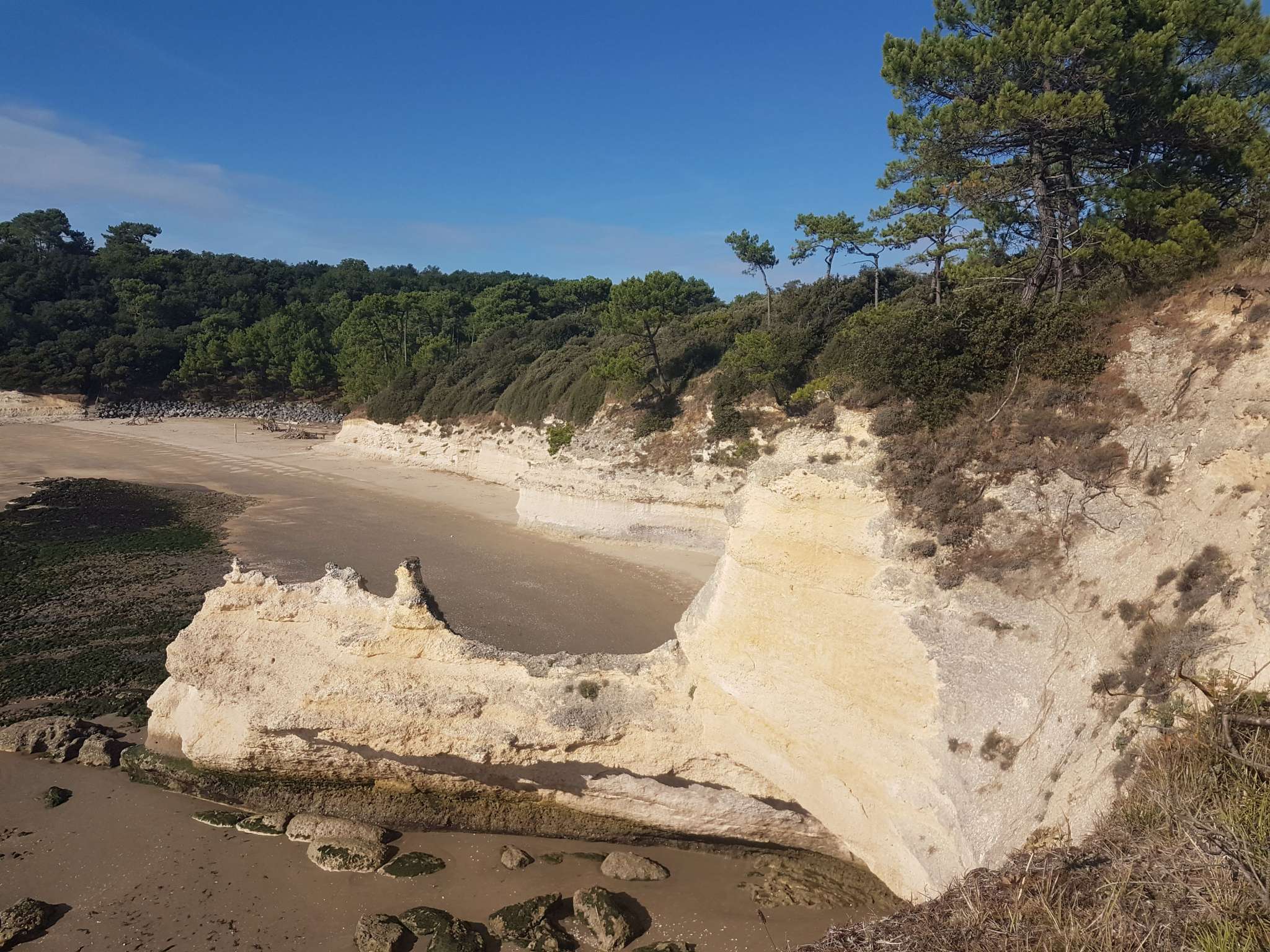 Randonnée Marche à Meschers-sur-Gironde: estuaire - SityTrail