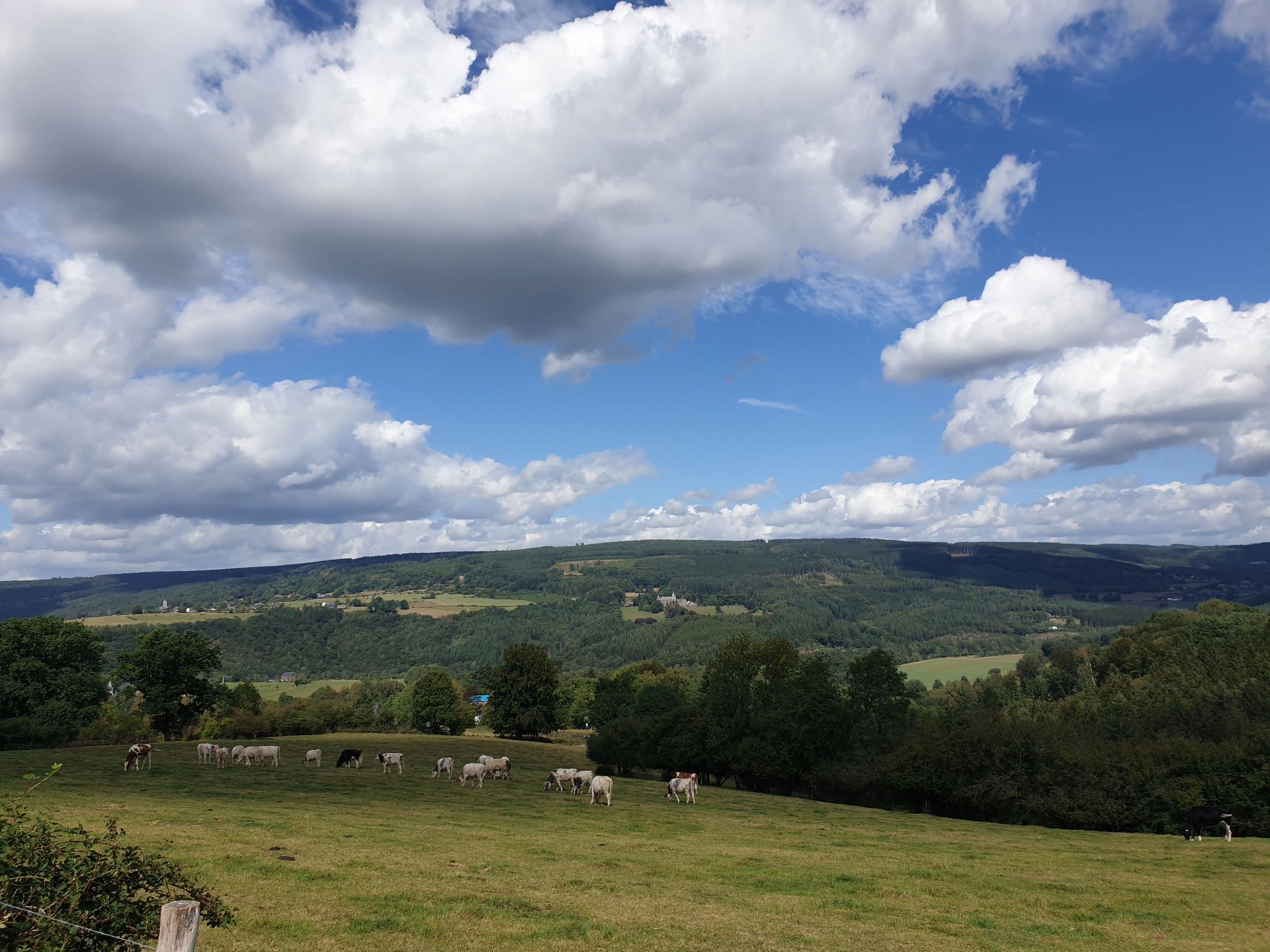Randonnée Marche à Stoumont: stoumont - SityTrail