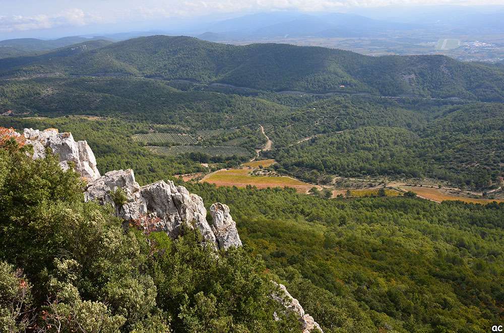 Randonnée Marche à Rocbaron: Rocbaron - Belgentier - SityTrail