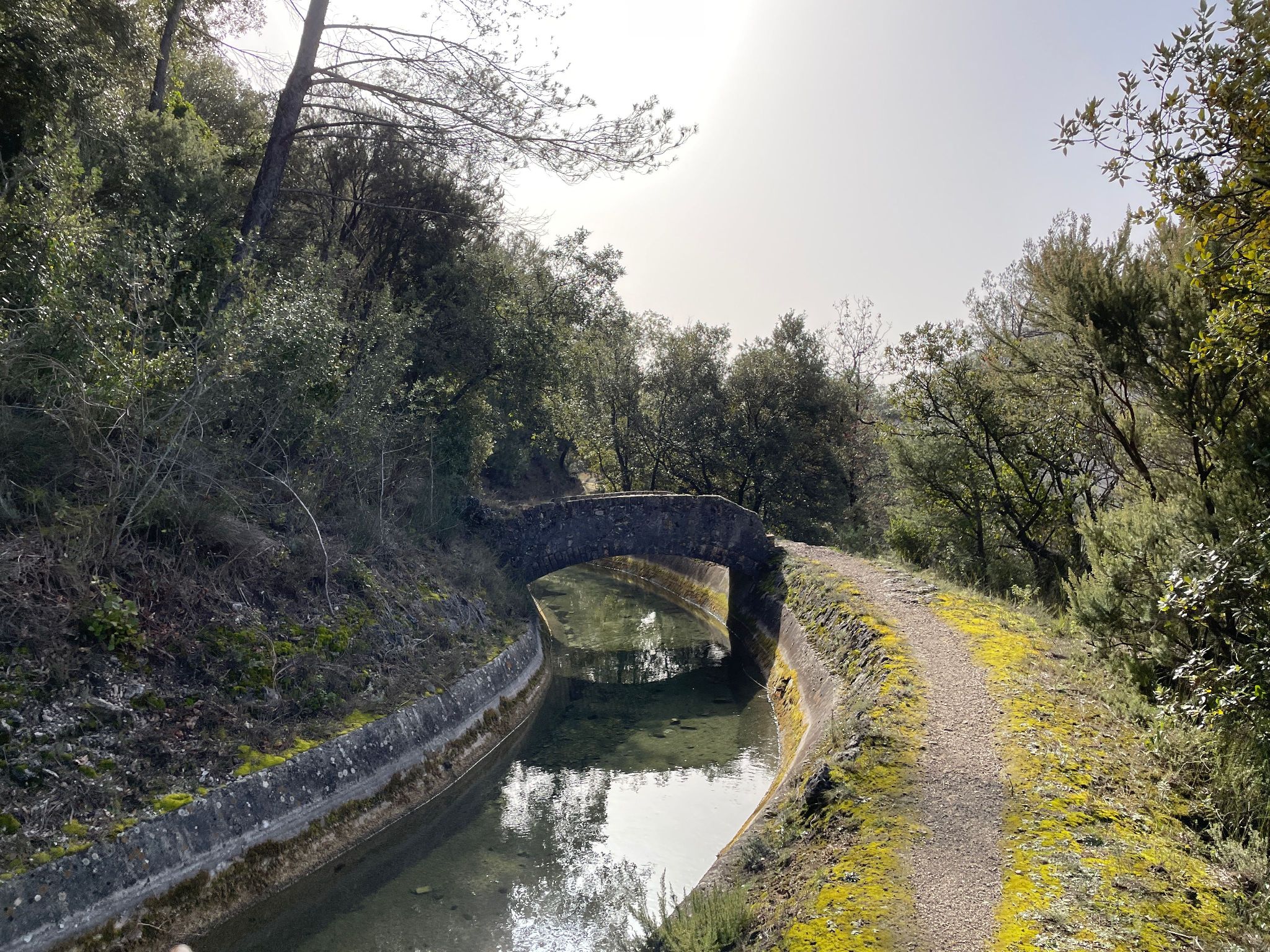 Randonnée Marche à Montauroux: Gorges de la Siagne - SityTrail