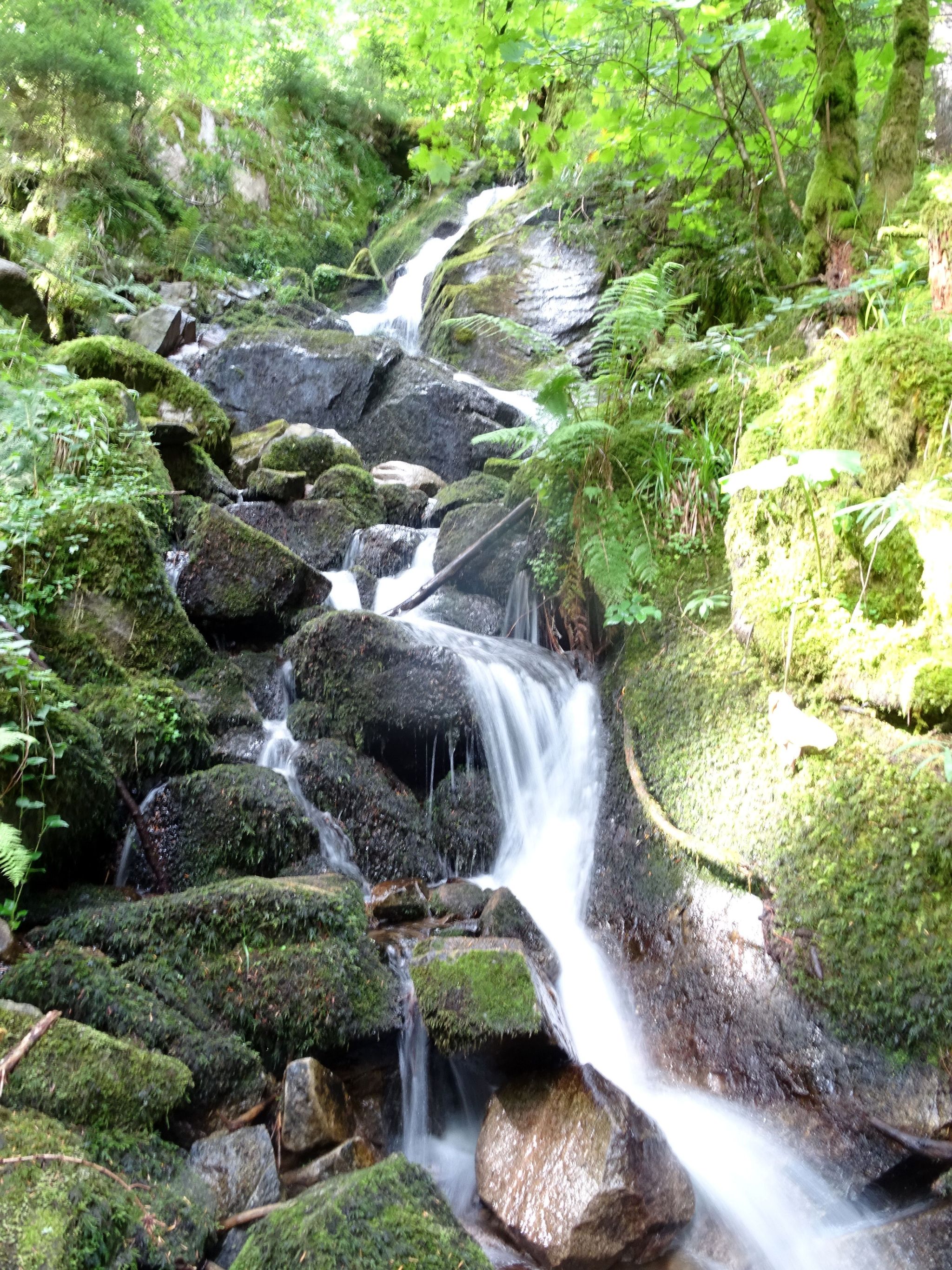 Randonnée Randonnée équestre à Stosswihr: 2018-08-26 Picnic CVA ...