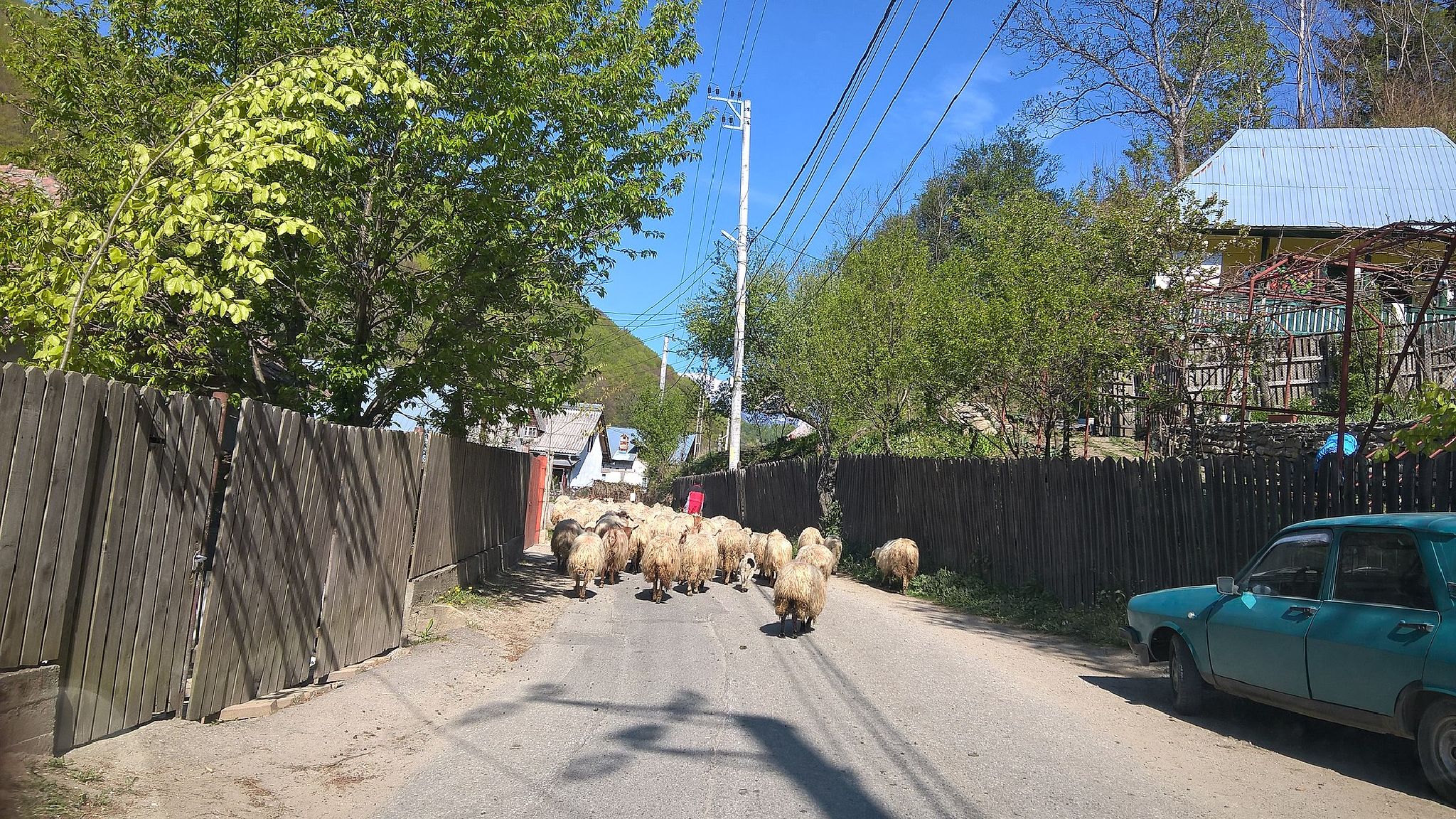 Randonnée A pied à Băile Olănești: Valea Cheii - Schitul Iezer - Valea ...