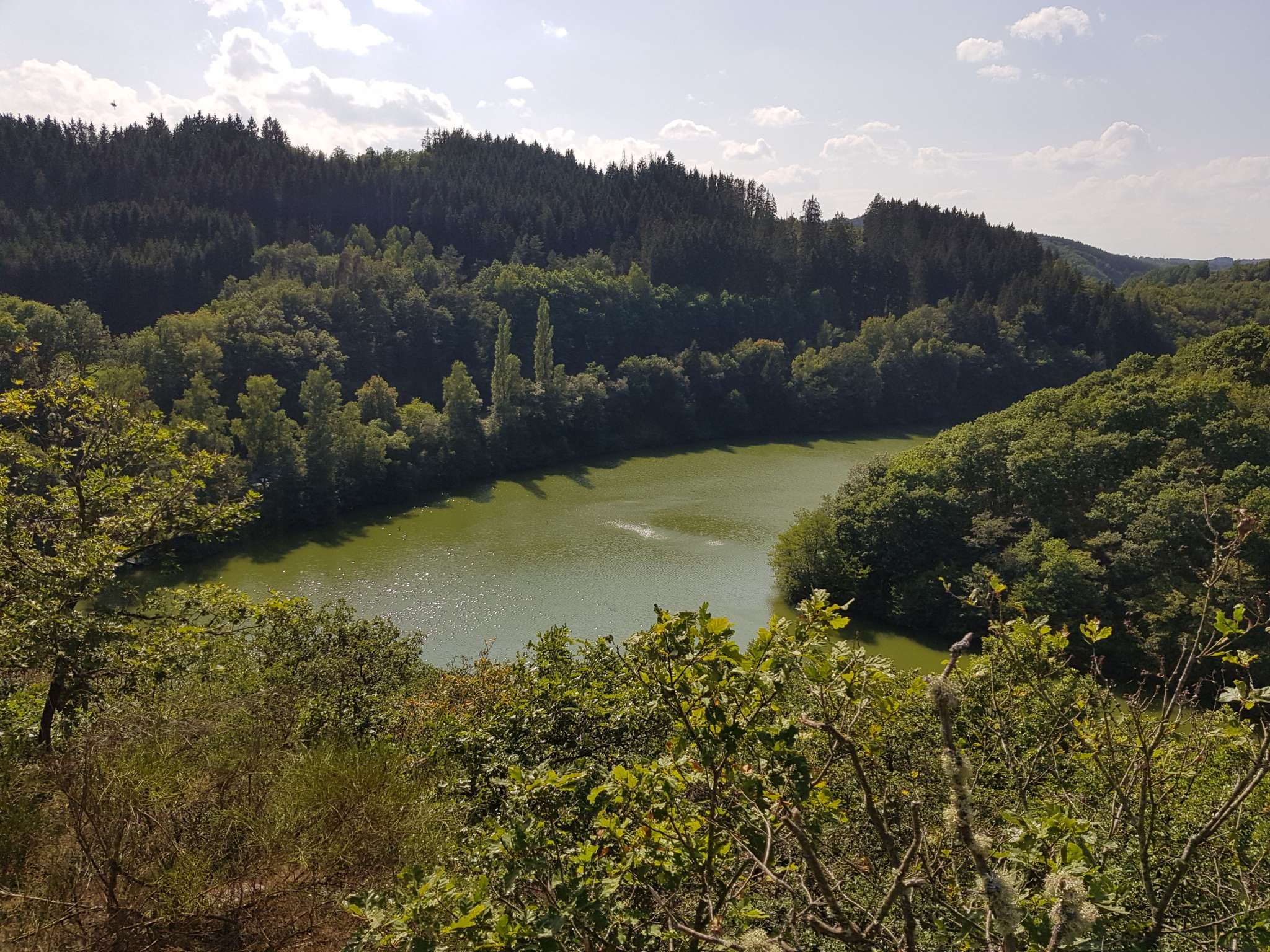 Randonnée Marche à Lac de la Haute-Sûre: Bavigne - SityTrail