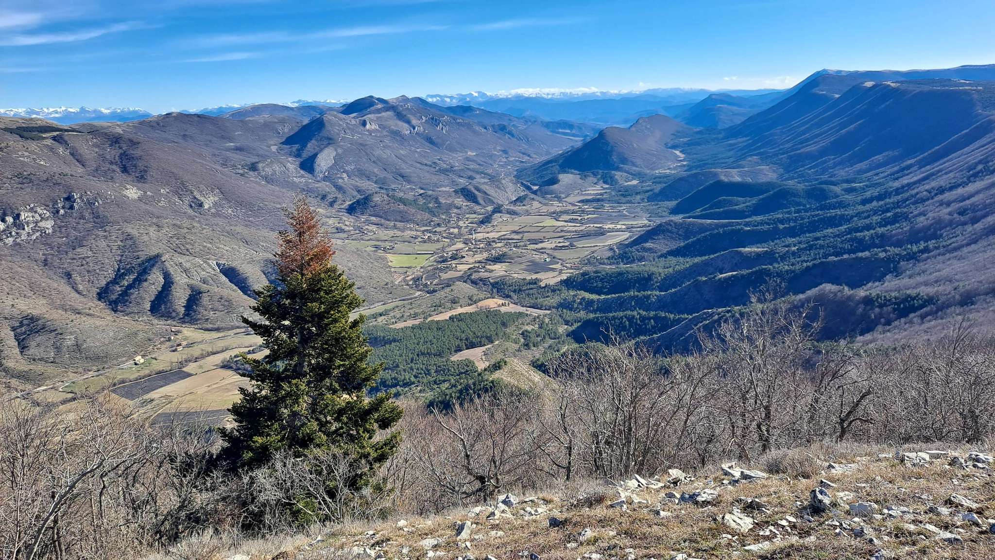 Trail Walking at Séderon: Du Sommet du Négron au Sommet de Larran ...