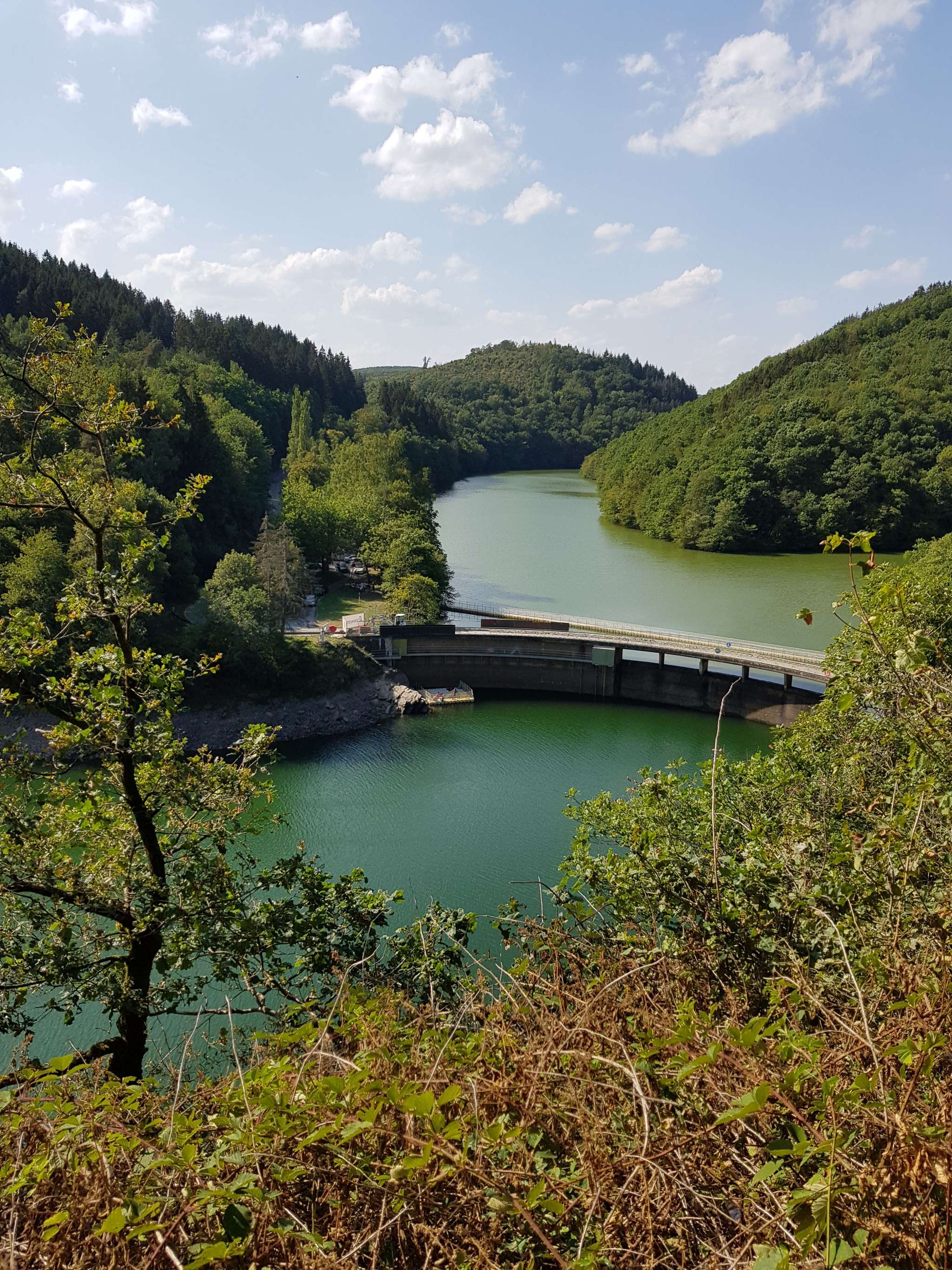 Randonnée Marche à Lac de la Haute-Sûre: Bavigne - SityTrail