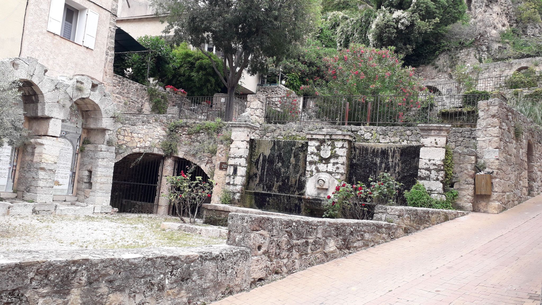 Randonnée Cyclotourisme à Rians: 83 Var Rians à Salernes J1/6 - SityTrail