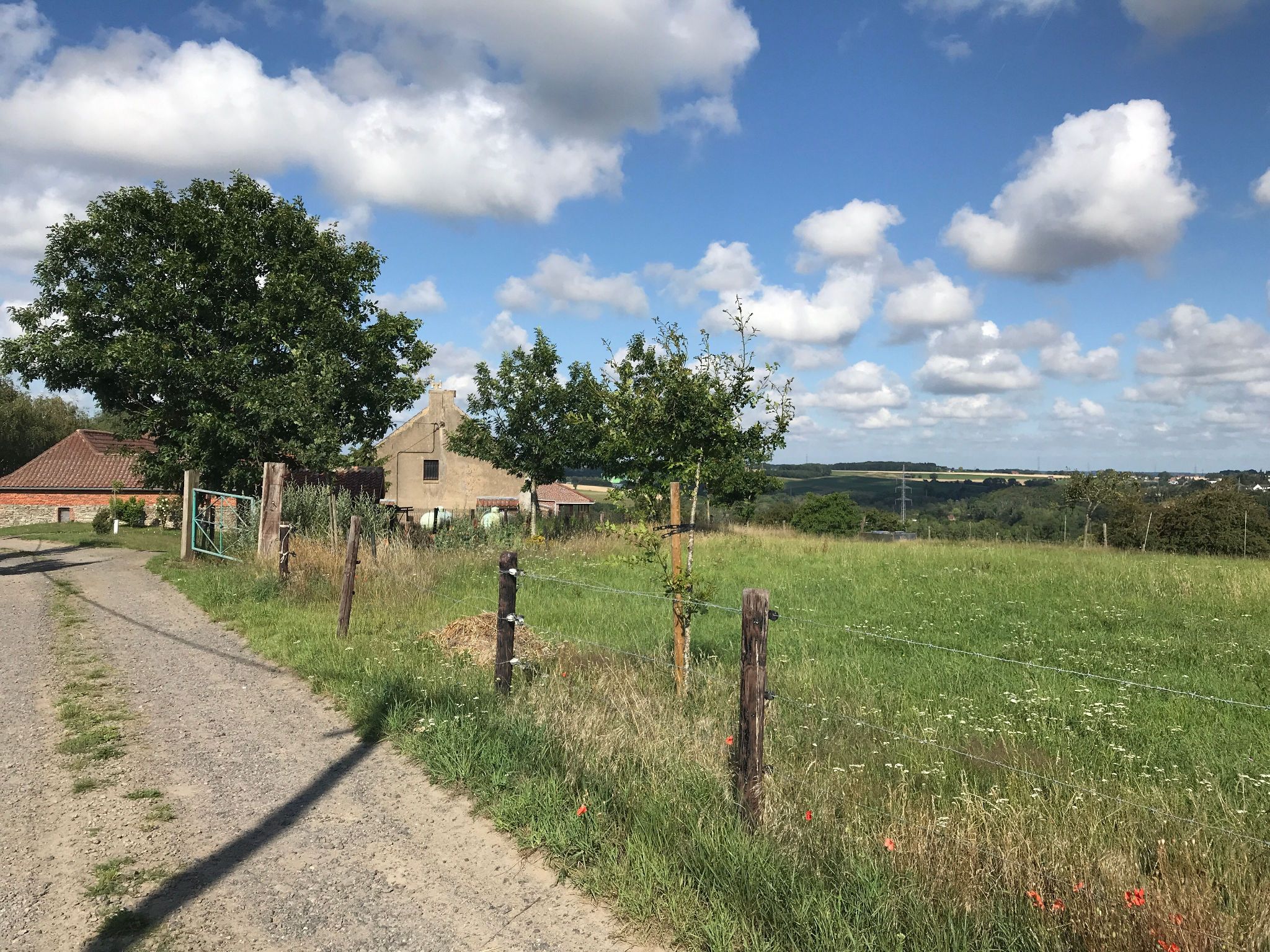 Randonnée Marche à Ittre: Port plaisance Ittre - SityTrail