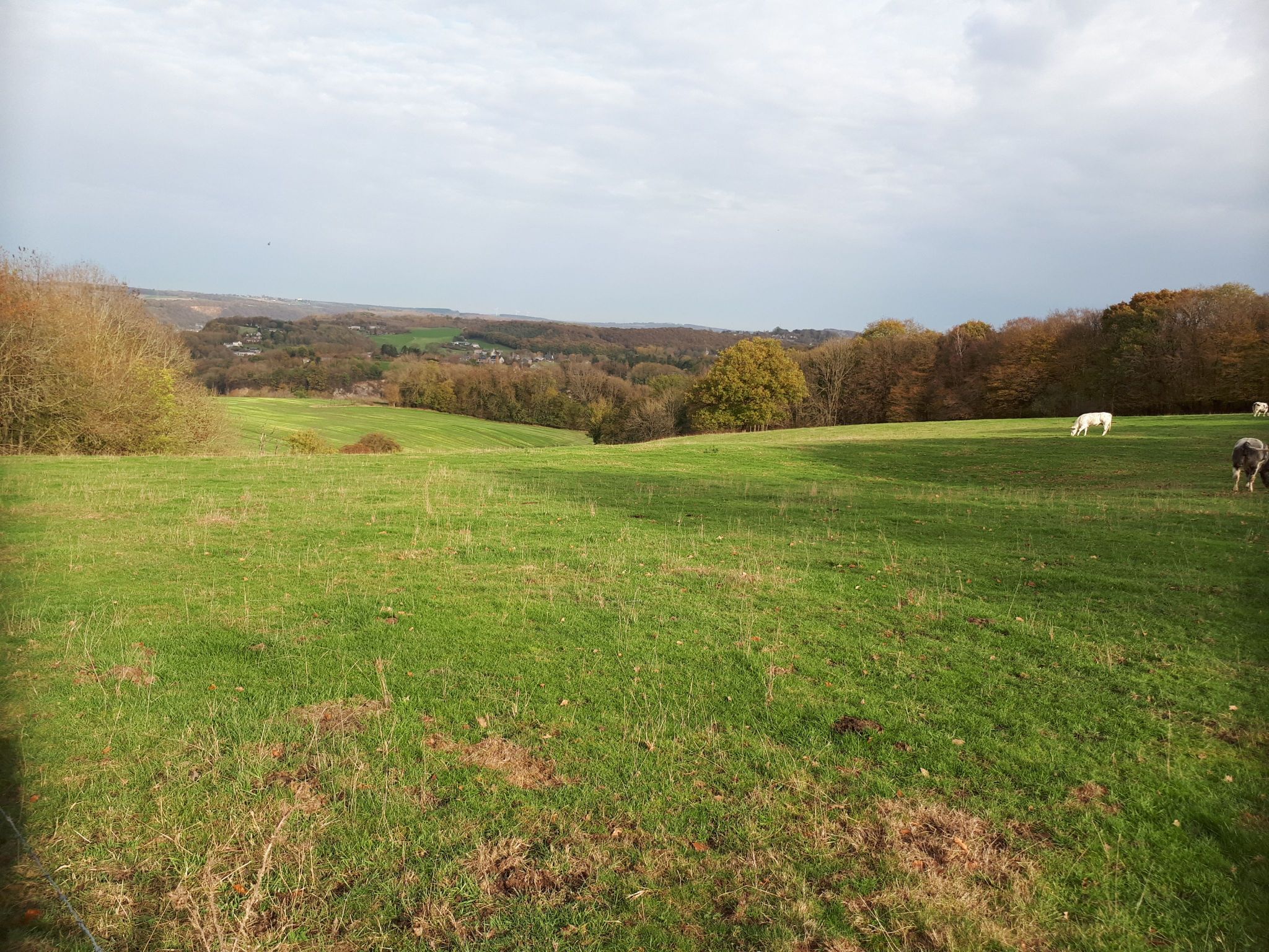 Randonnée Marche à Gesves: Vallée du Samson - SityTrail