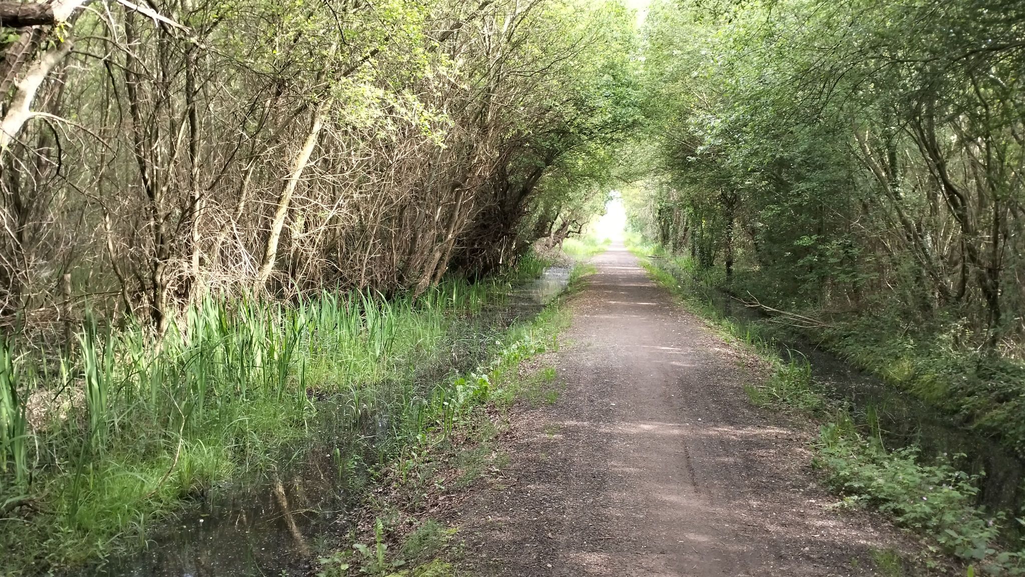 Randonnée V.T.T. à Donville-les-Bains: 50-vtt-donville-28km - SityTrail