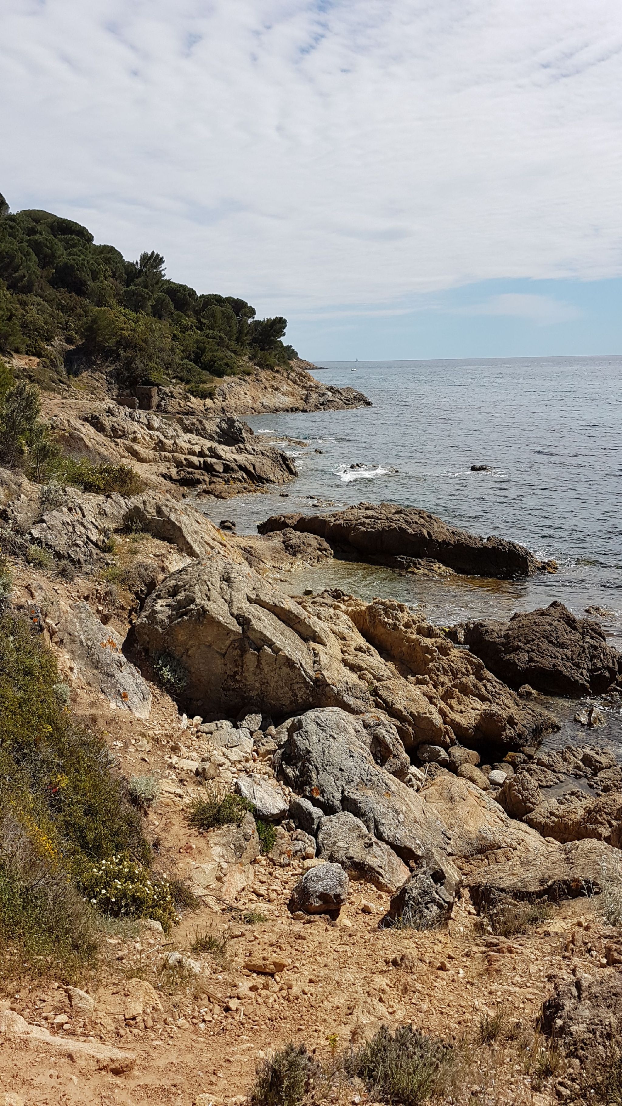 Randonnée Marche à La Croix-Valmer: GIGARO - CAP LARDIER A/R - SityTrail